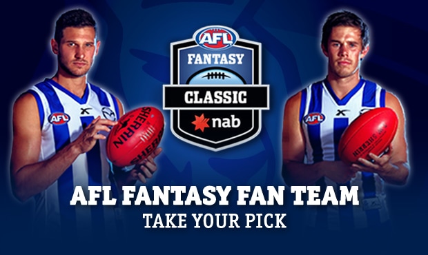 Pick your mid-priced defenders