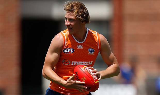 McKay muscles in