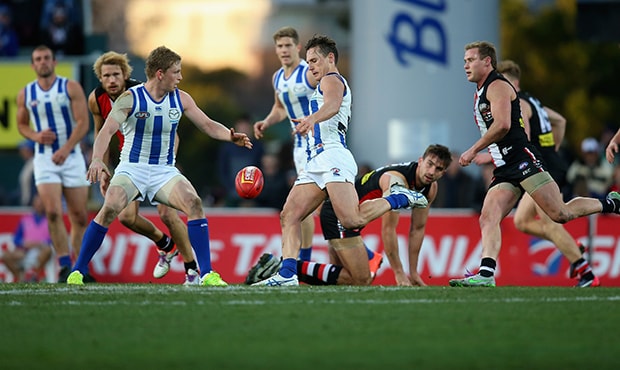 Blundstone Arena open day