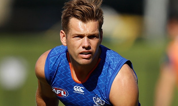 TEAM: North stars return