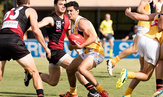 VFL Preview: Round 2