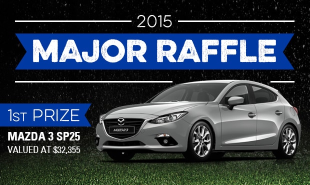 2015 Major Raffle.
