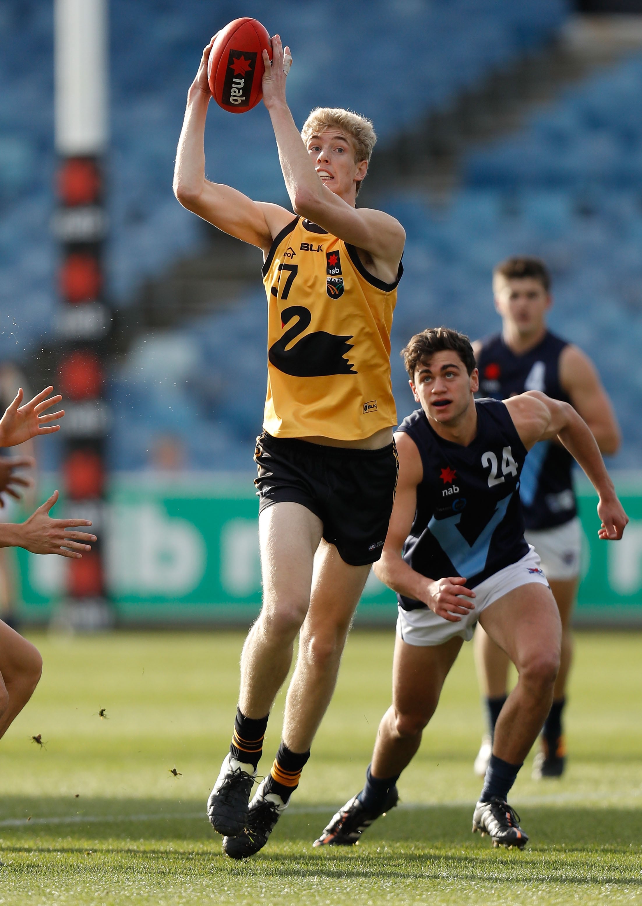 Prospects: Tim English