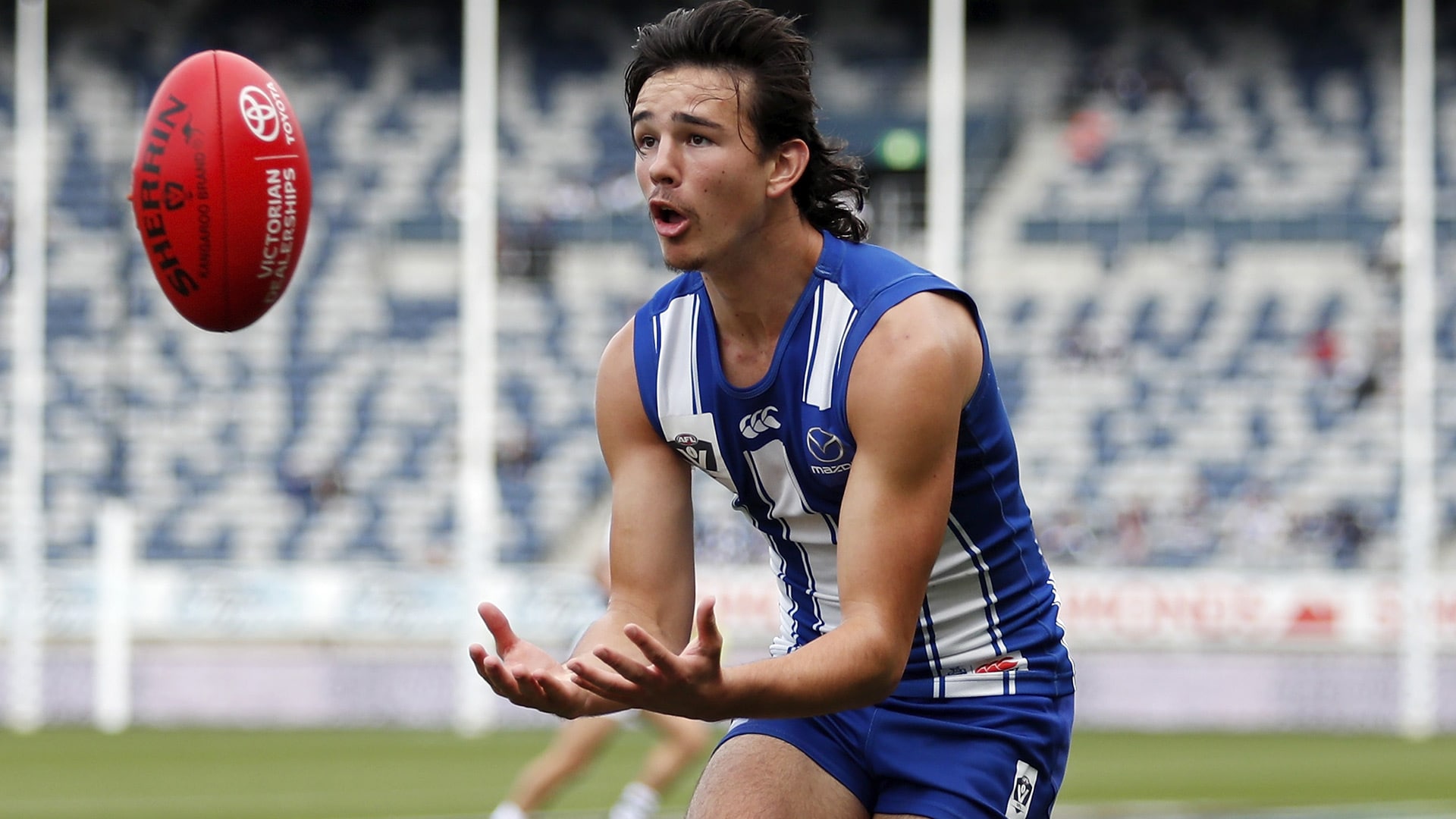 VFL: Live stream (Round 4, 2021)