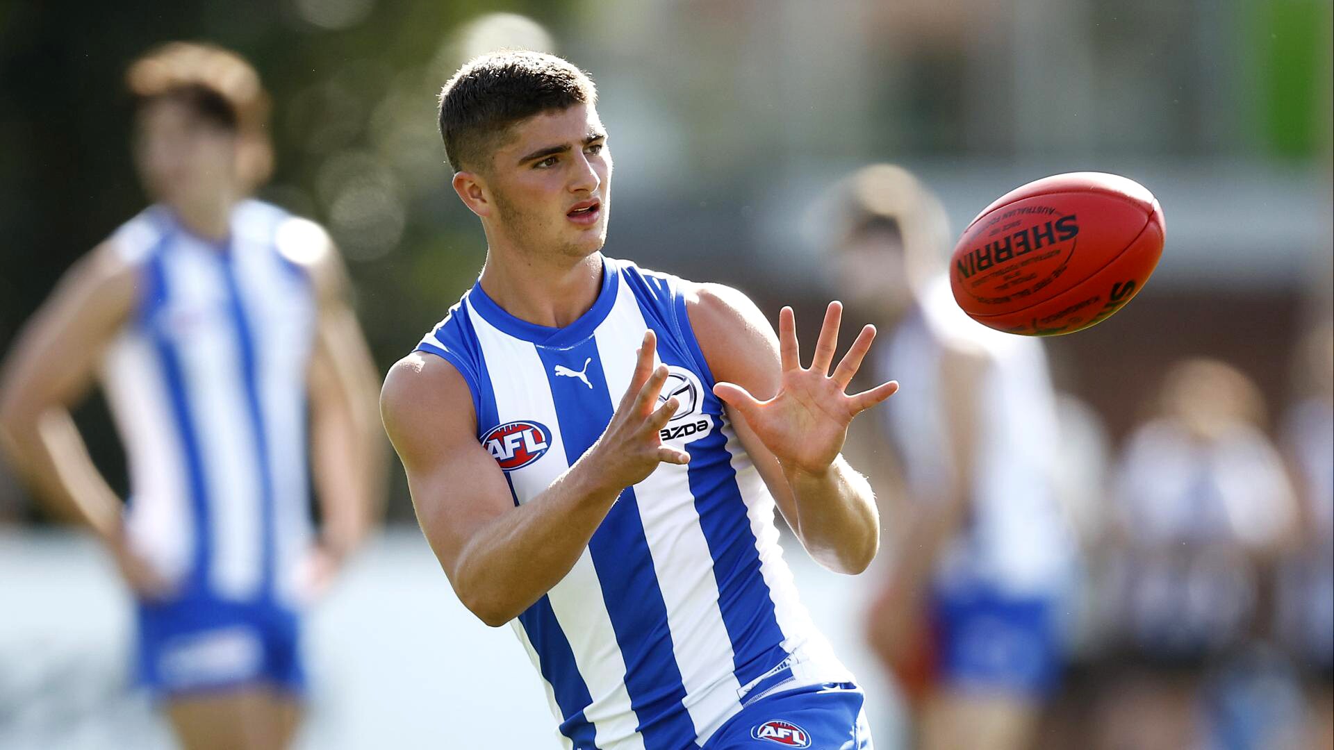 North Melbourne's 11 contenders for this year's Rising Star