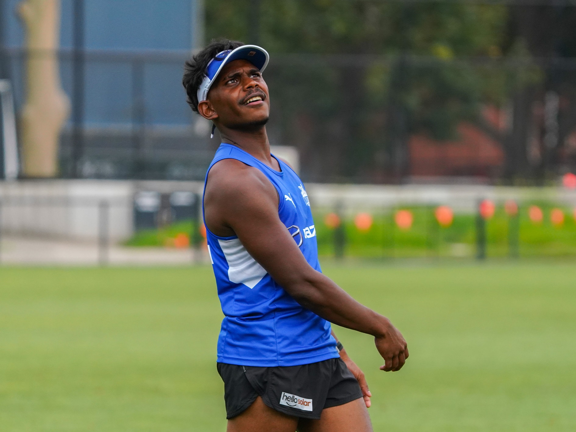 The life of Spicer: Phoenix's journey from Numbulwar to North Melbourne