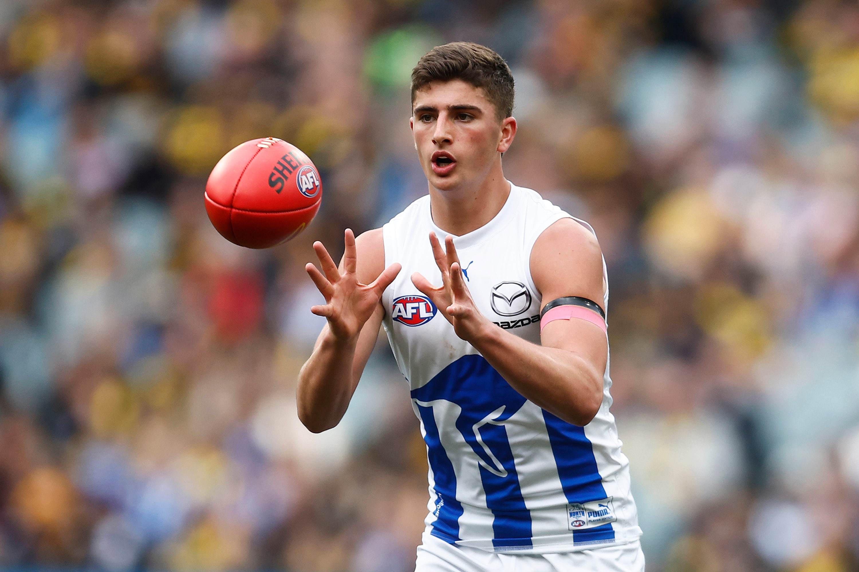 It has to be Harry: Why Roos gun should be top of the crop