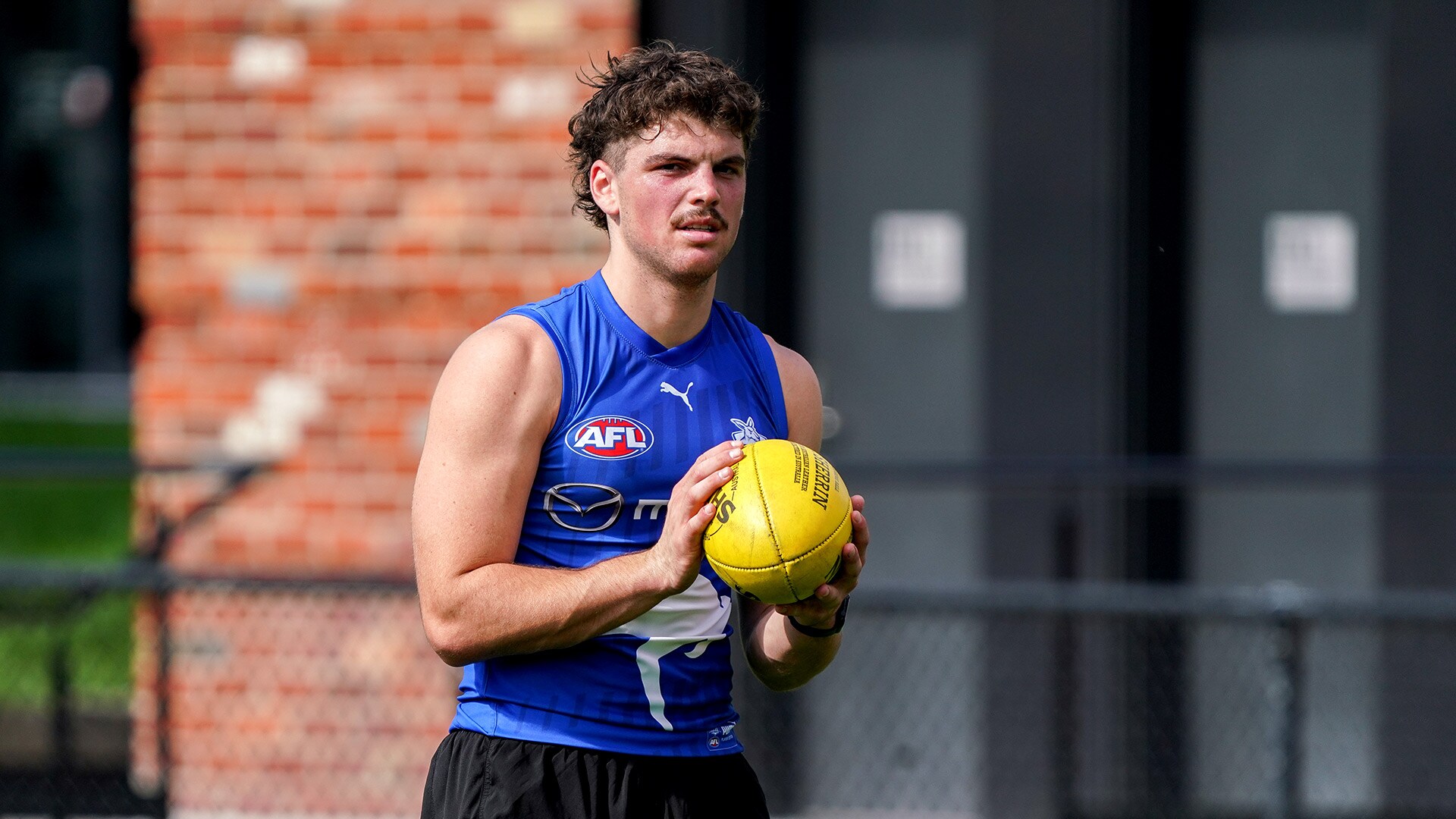 Surgery for young Roo after off-season training injury