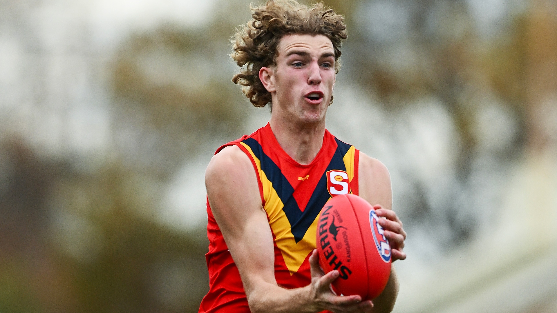 Five things to know about Taylor Goad