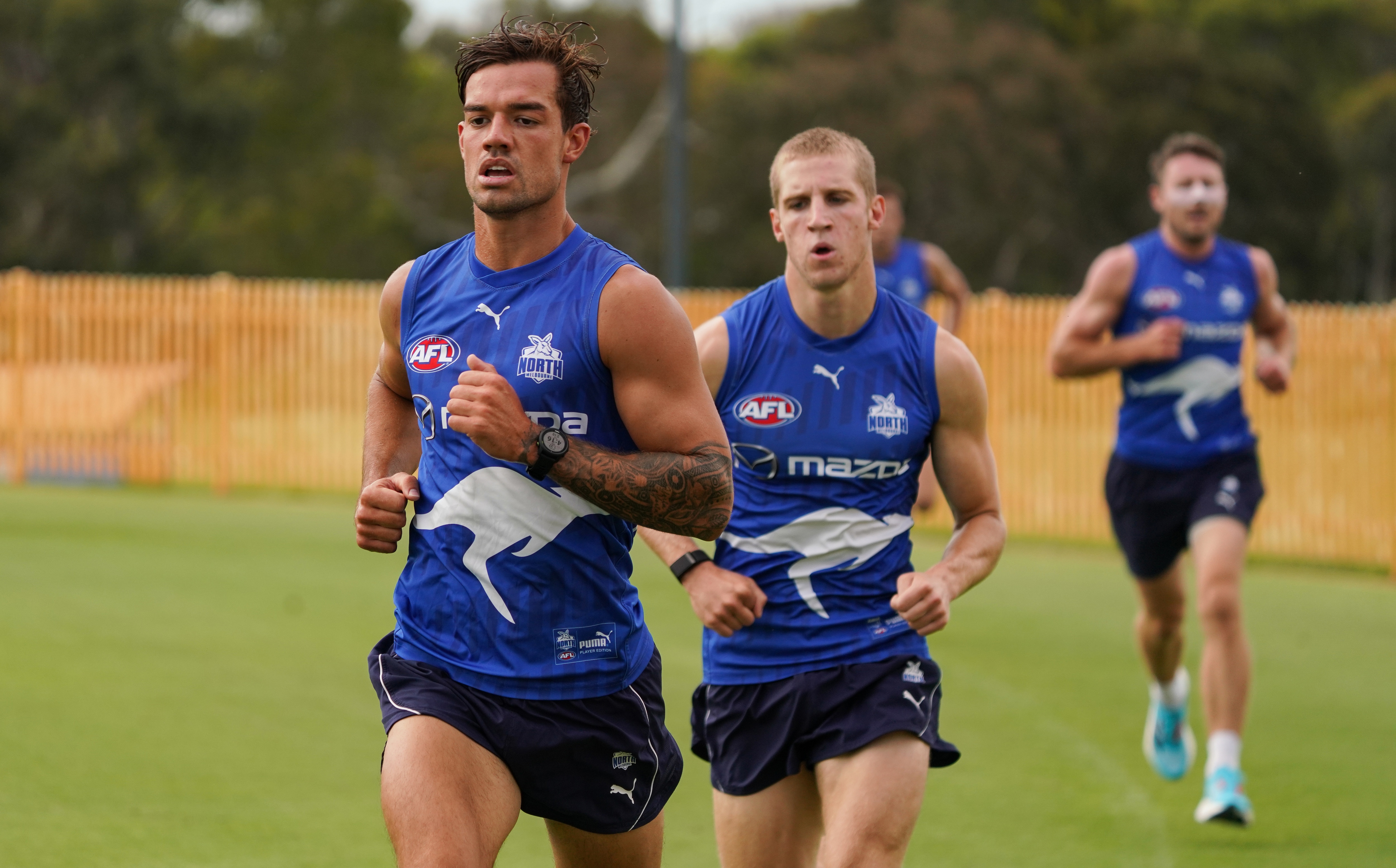 AFL program returns to Arden Street