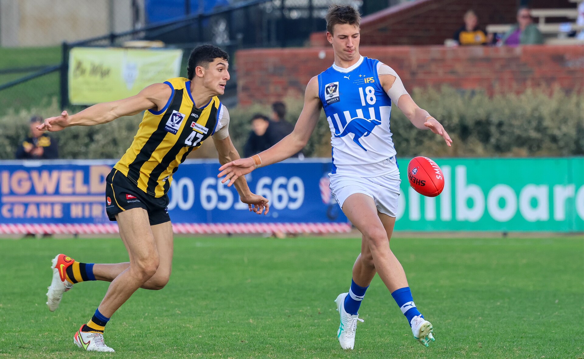 VFL R6 wrap: Zebras hold off Roos in dramatic finish