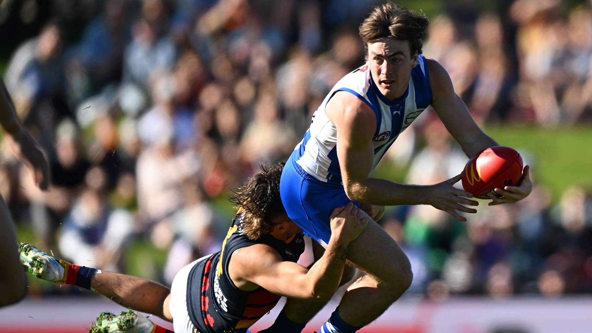 AFL R9 preview: Roos head to Top End to face Suns