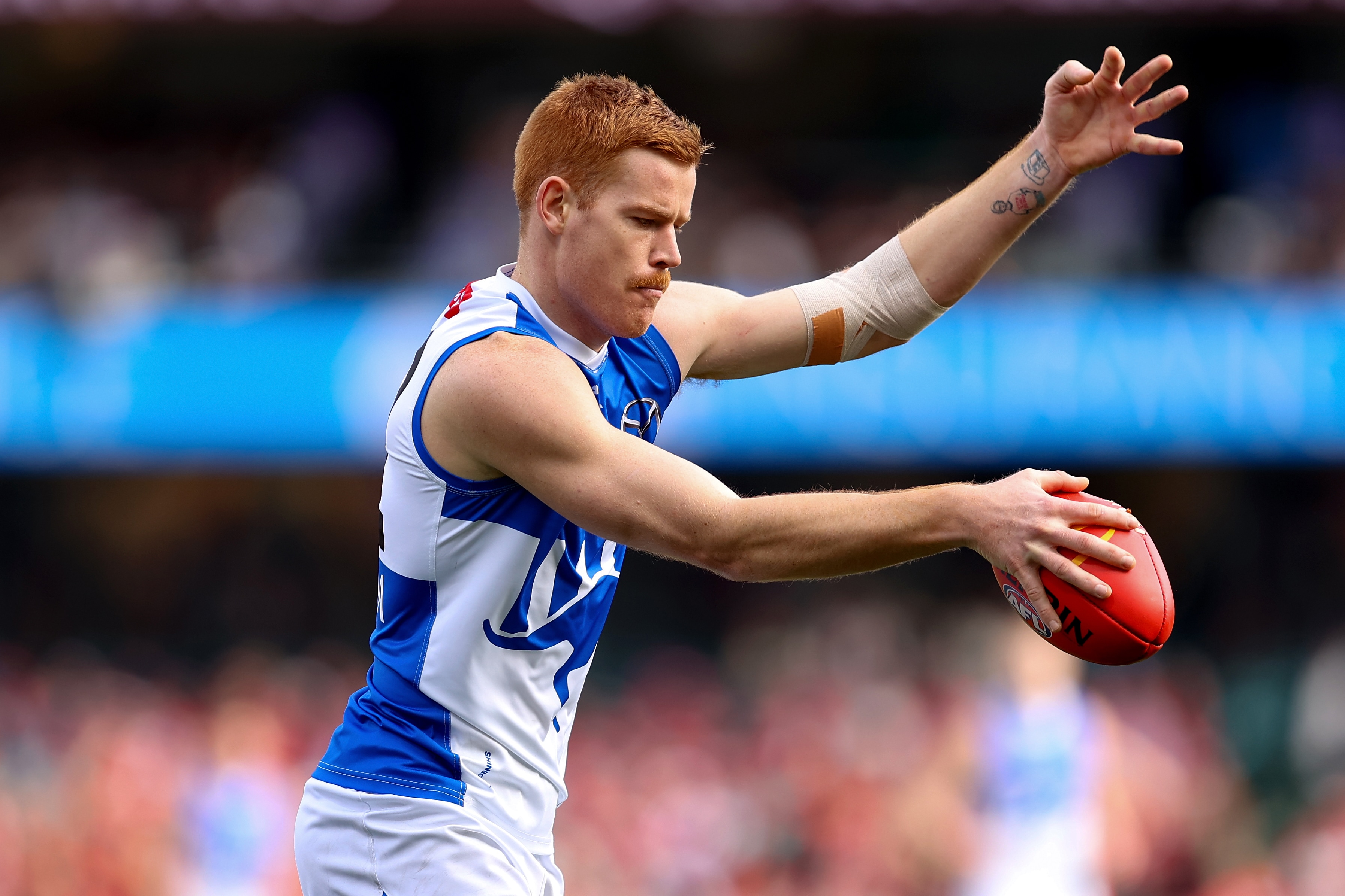 North Melbourne AFL list update