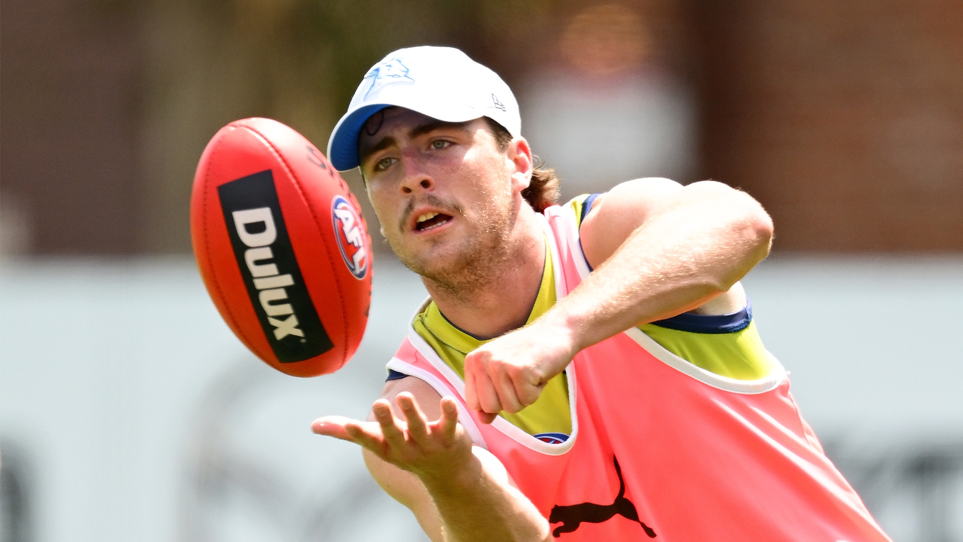 Estimated timeline revealed for hamstrung Roo