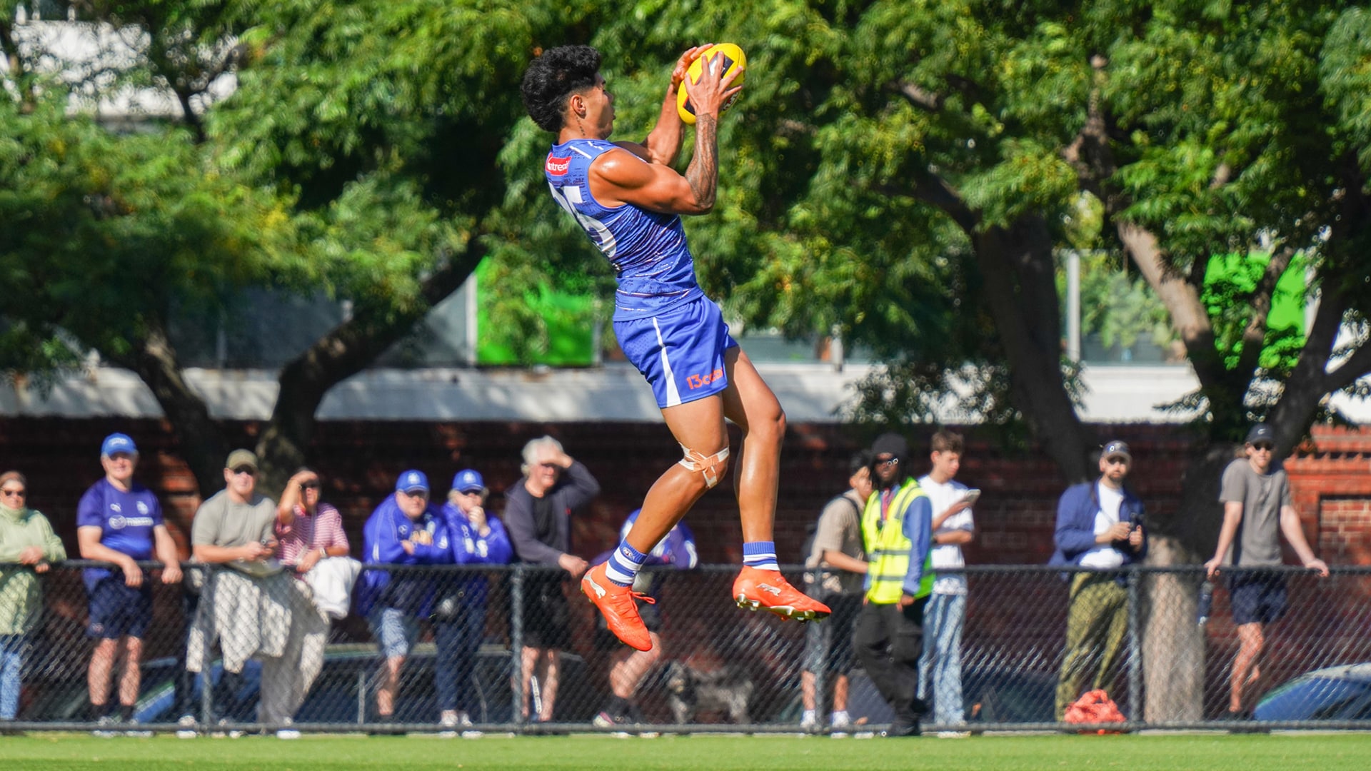 The Roo who's 'going to be a monster': Five things we learned from the ...