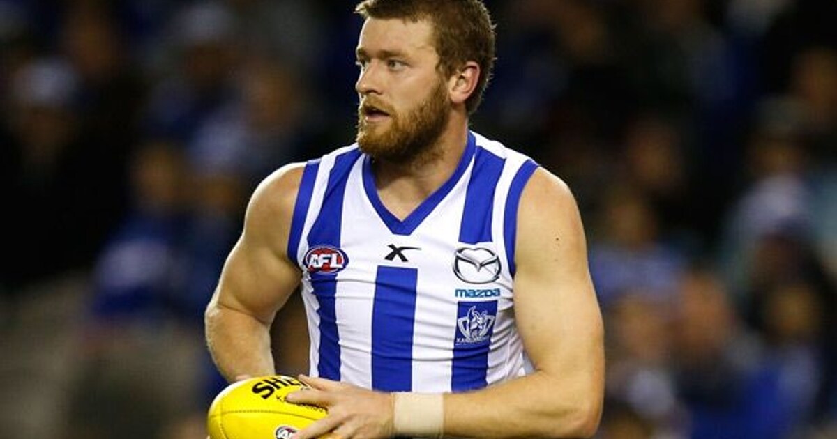 2014 Review: Lachlan Hansen