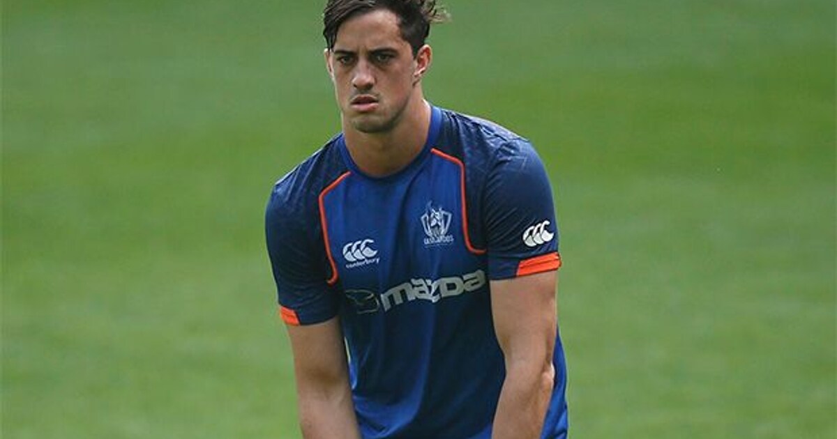 Taylor Garner update