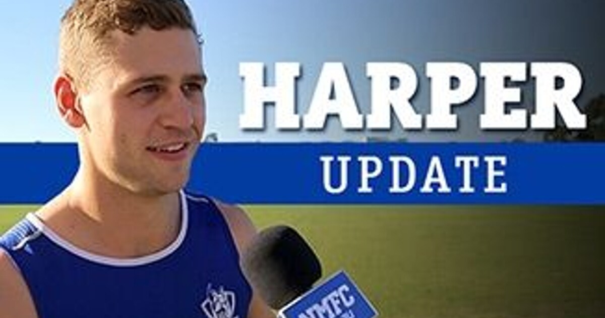 Harper keeps head up
