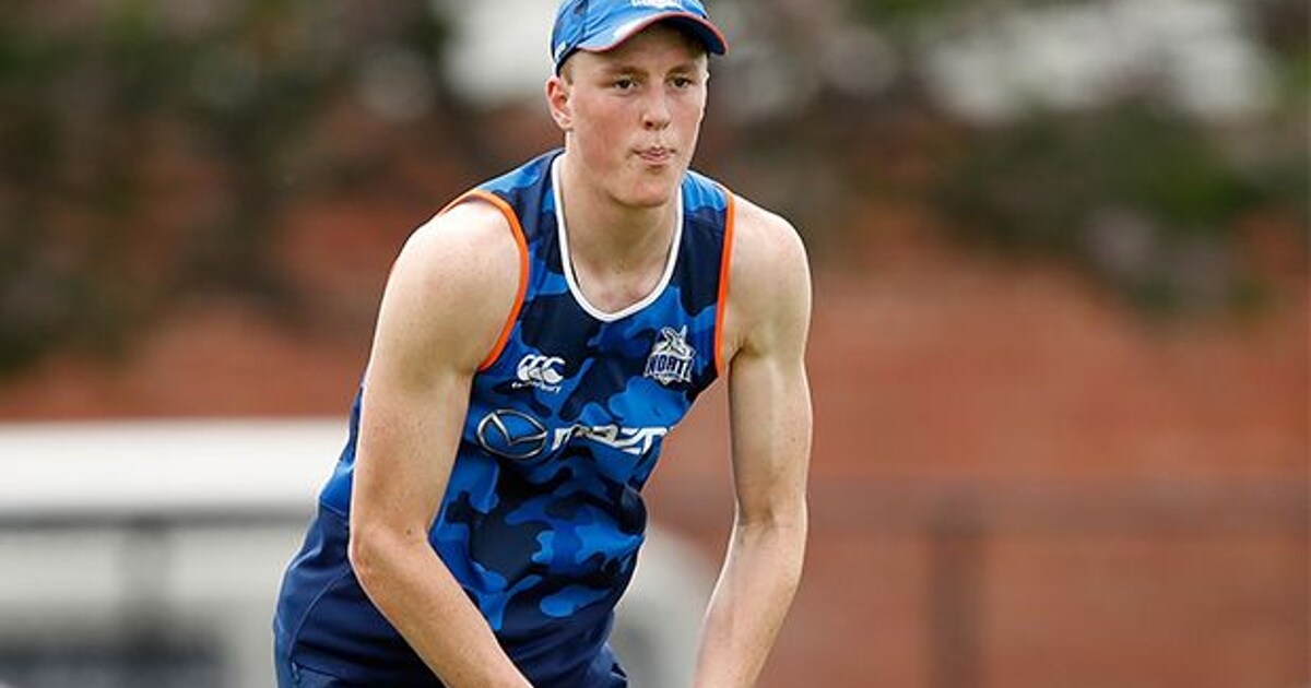 Petrie's 20 lives on