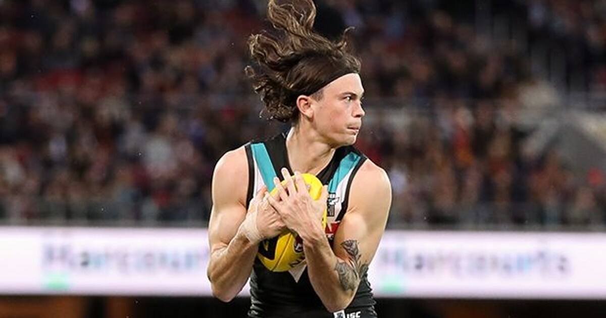 Introducing: Jasper Pittard