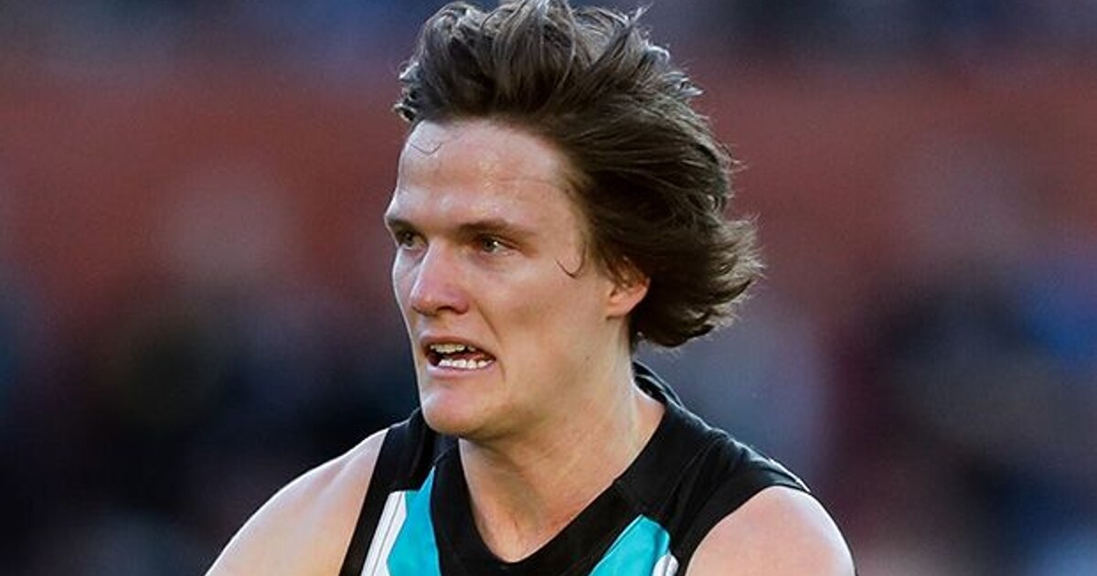 Introducing: Jared Polec