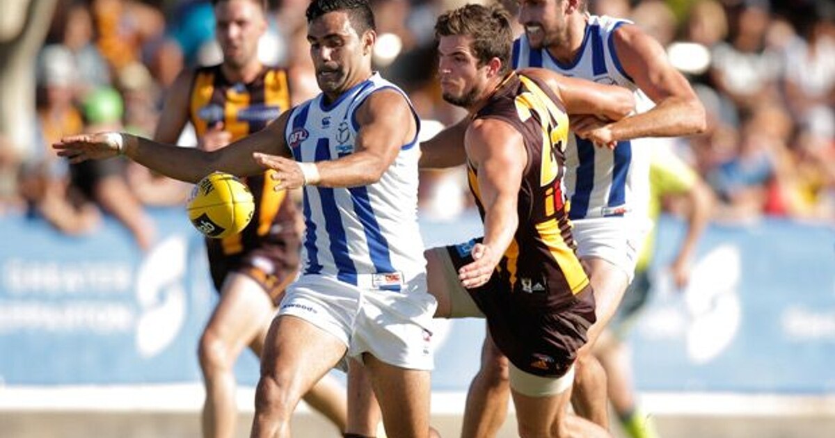 Definitive Preview: Hawthorn