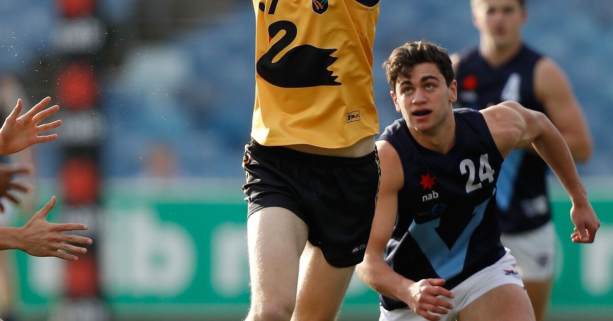 Prospects: Tim English