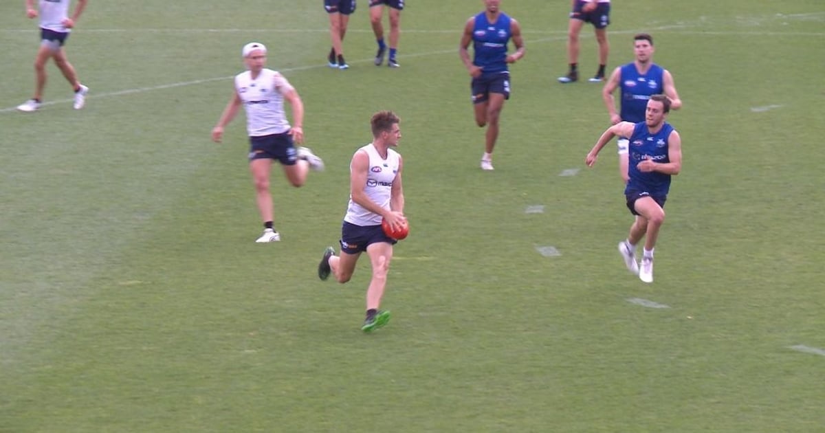 Shaun Atley goal (January 24, 2020)