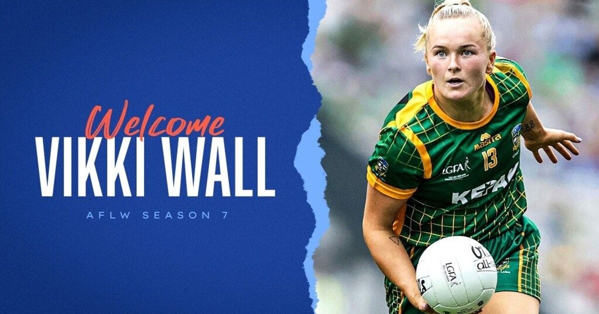 Get excited: The best highlights of new Roo Vikki Wall