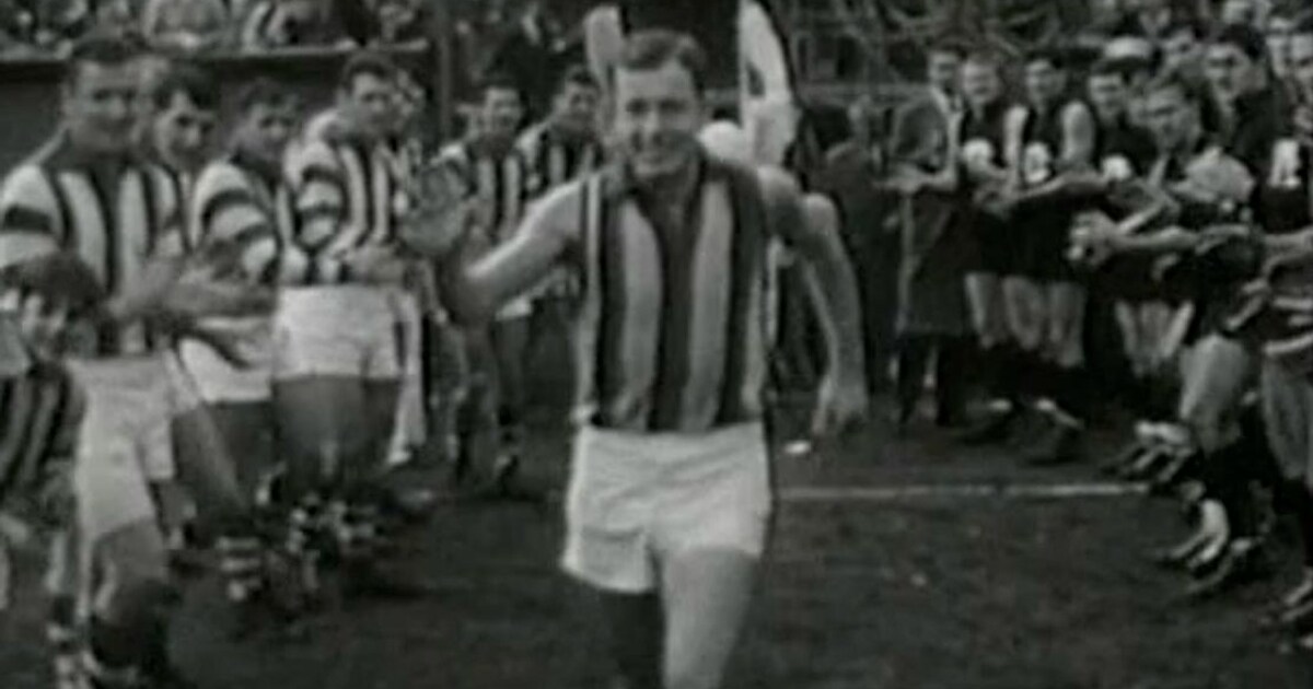 Remembering North Melbourne Legend Dr Allen Aylett
