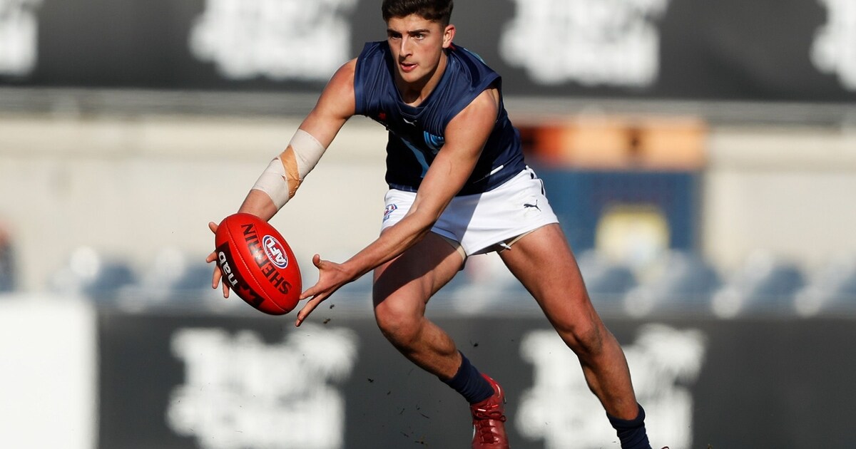 2022 draft class profile: Harry Sheezel