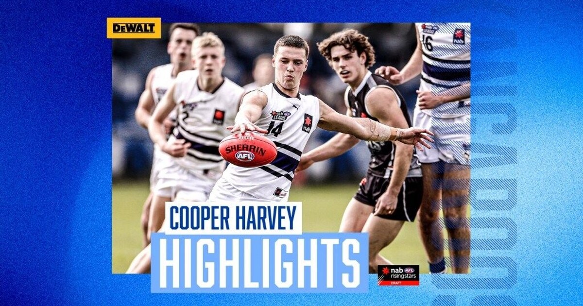 Get excited: The best highlights of new Roo Cooper Harvey