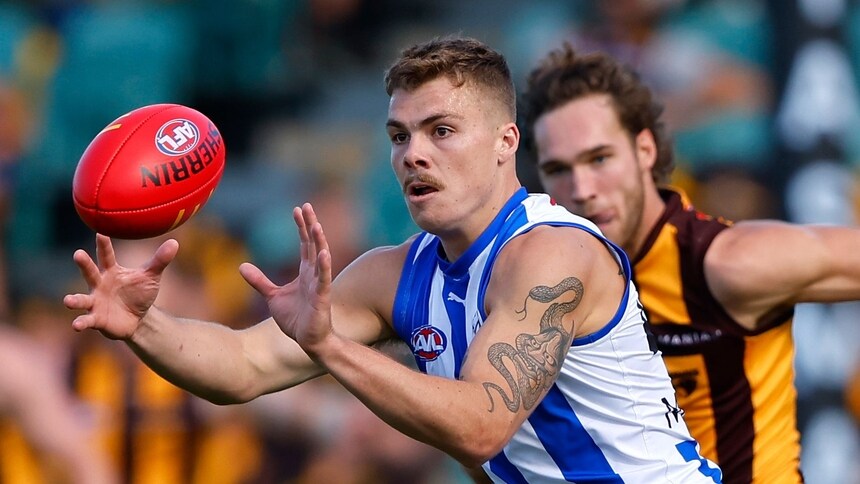 Home of the Kangaroos | The Official Website of the North Melbourne ...