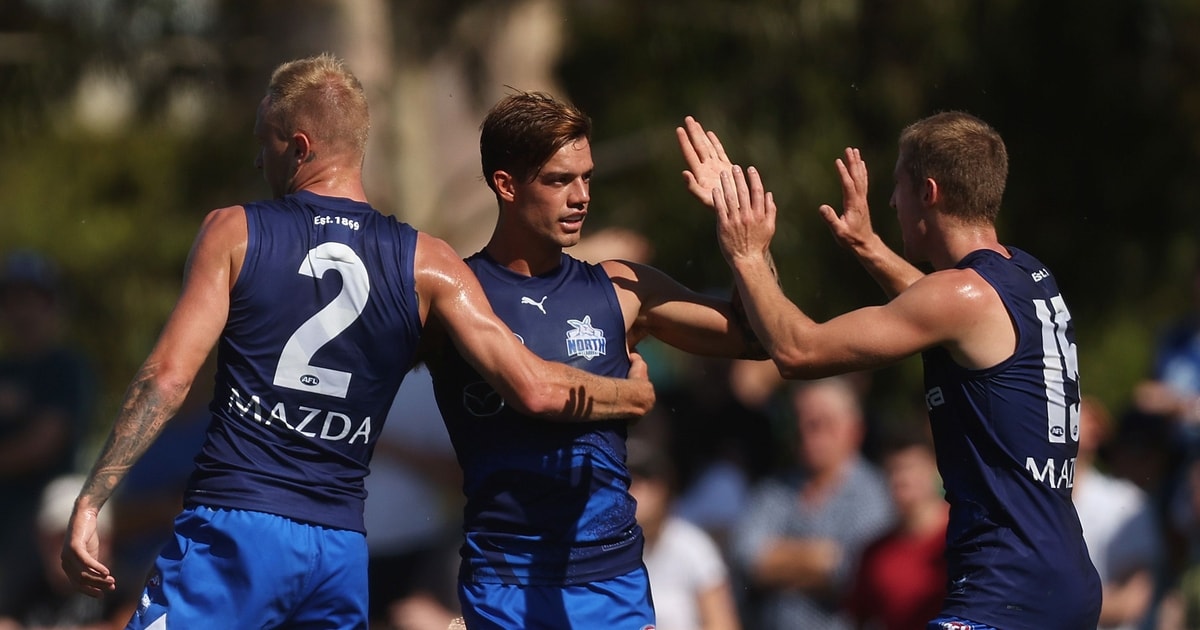 AFL 2024 Match Simulation - Collingwood v North Melbourne