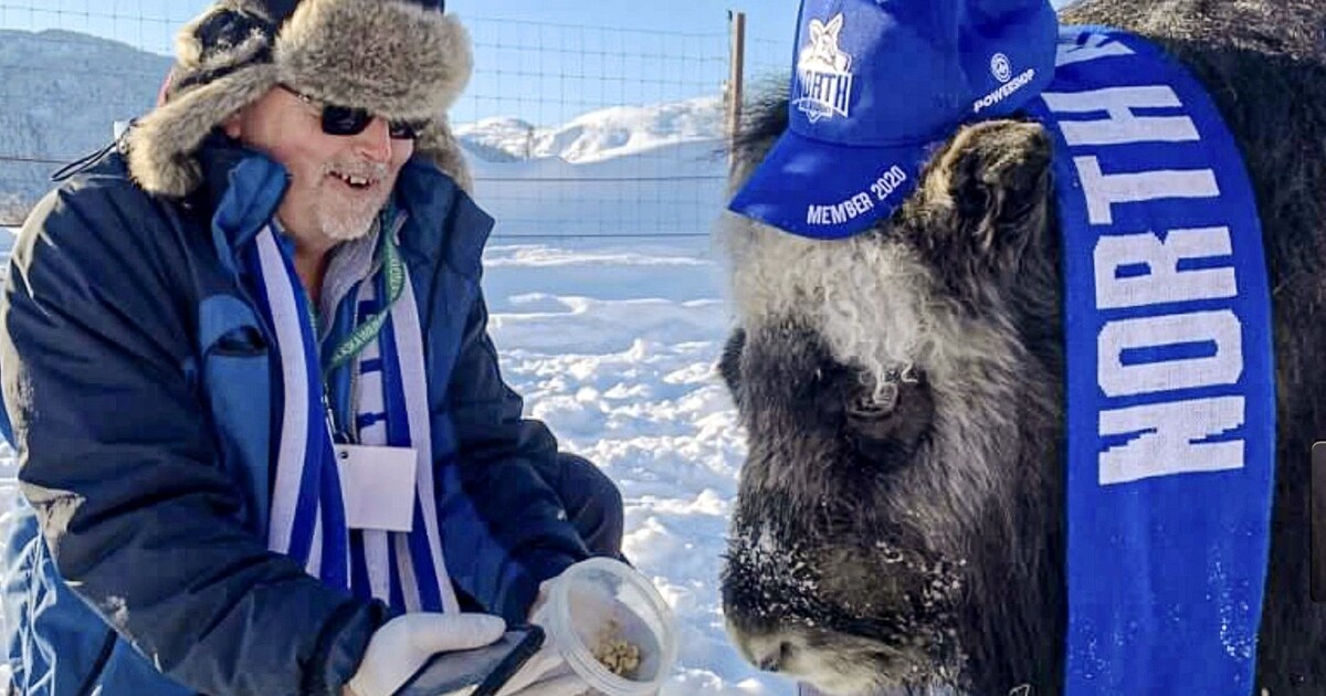 The only Kangaroos fan in Alaska