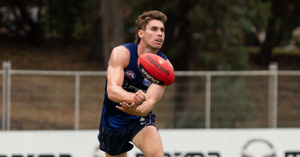 AFL R6 injury update: Ligament damage for defender, young gun available