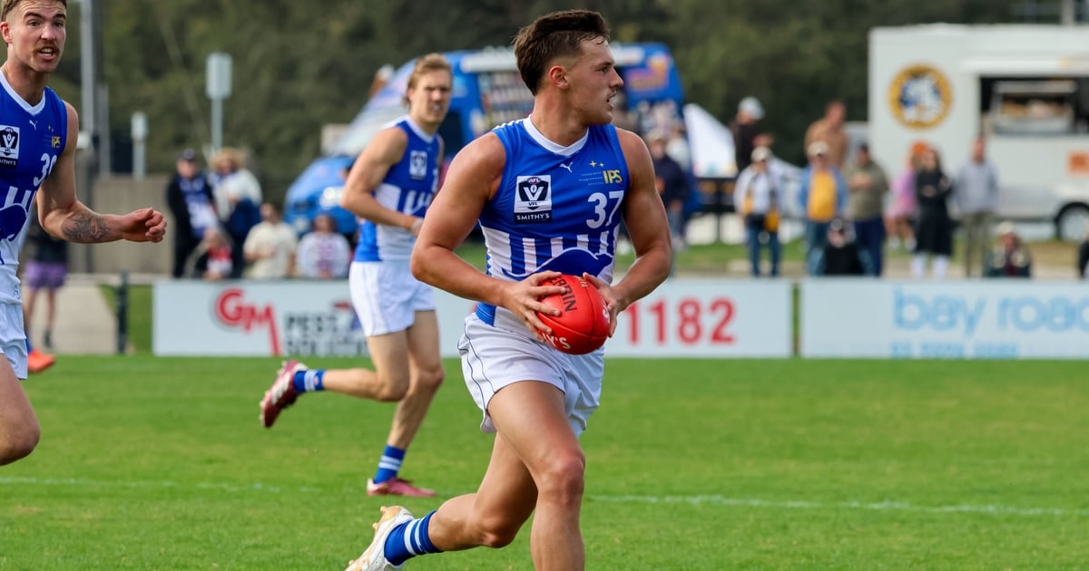 VFL 2024 Round 6 - Sandringham v North Melbourne