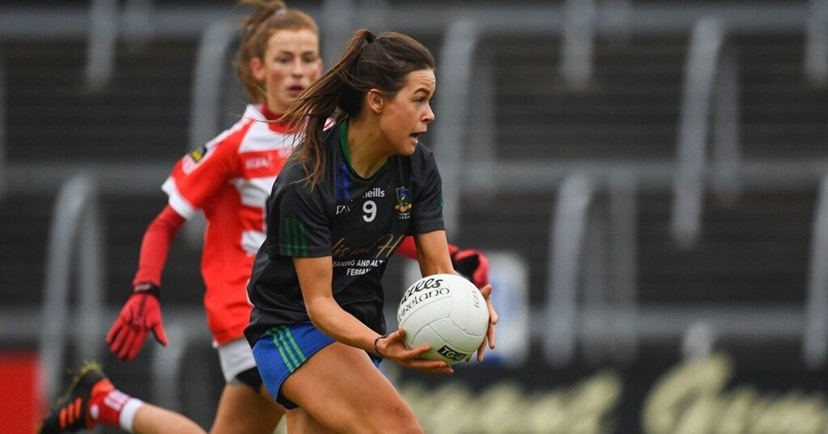 The best of new Roo Amy Gavin Mangan