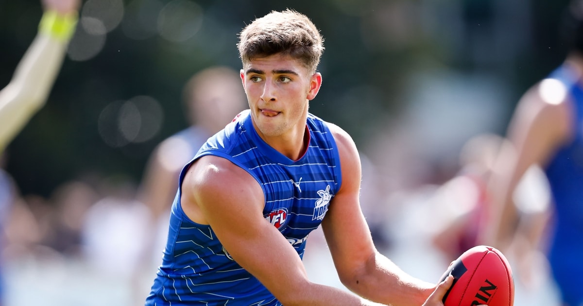 AFL 2025 Match Simulation - North Melbourne v Melbourne