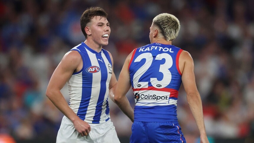 Home of the Kangaroos | The Official Website of the North Melbourne ...